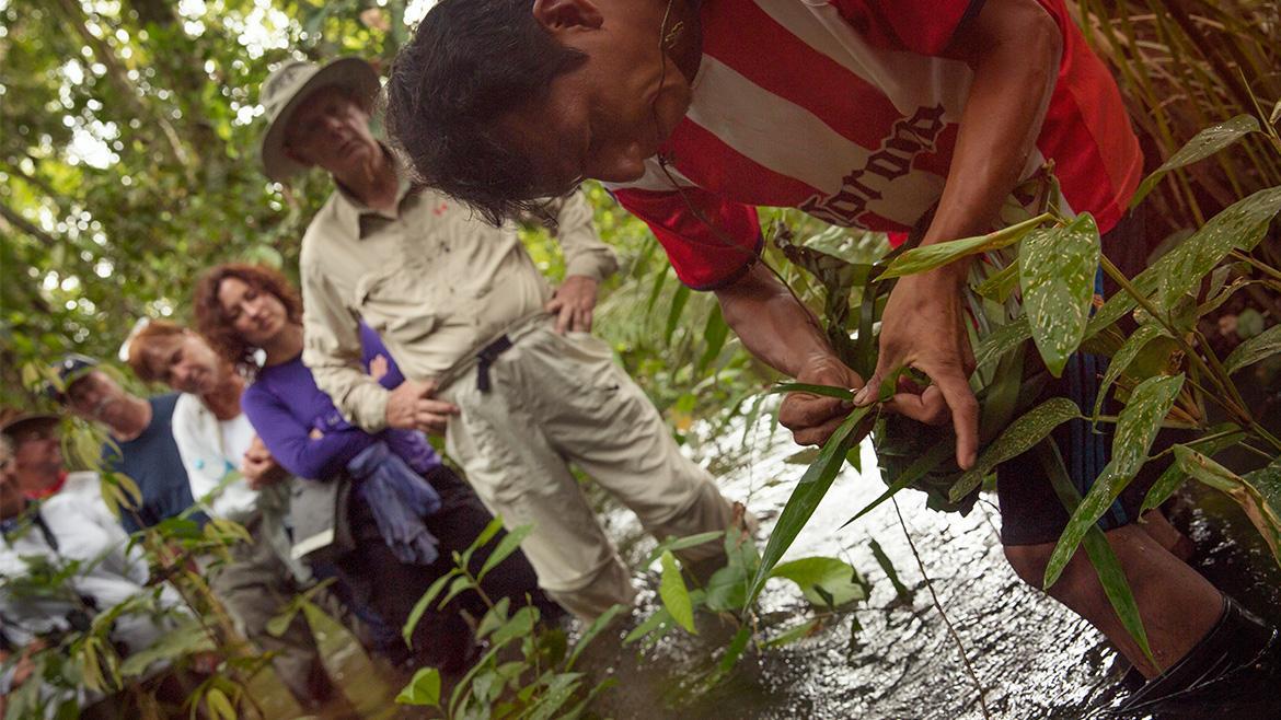 Amazon River Cruises & Tours in 2025 | G Adventures