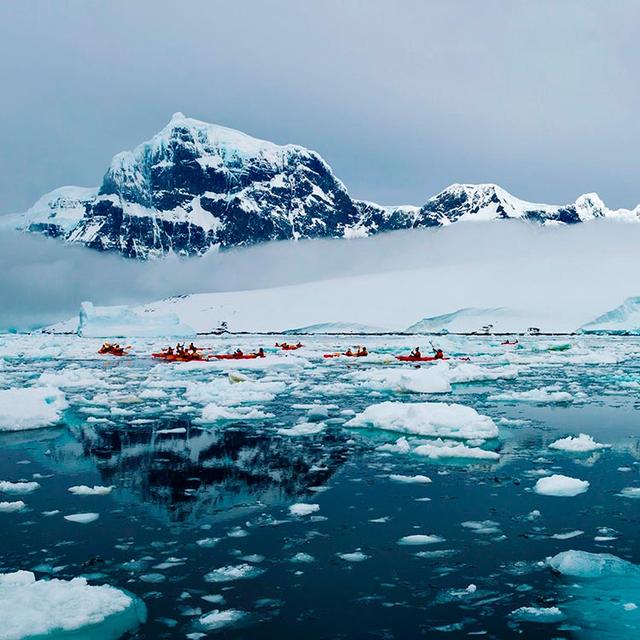 Antarctica Cruises & Tours in 2025 | G Adventures