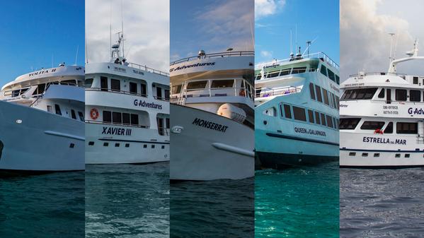 Galápagos Islands Cruise - G Adventures