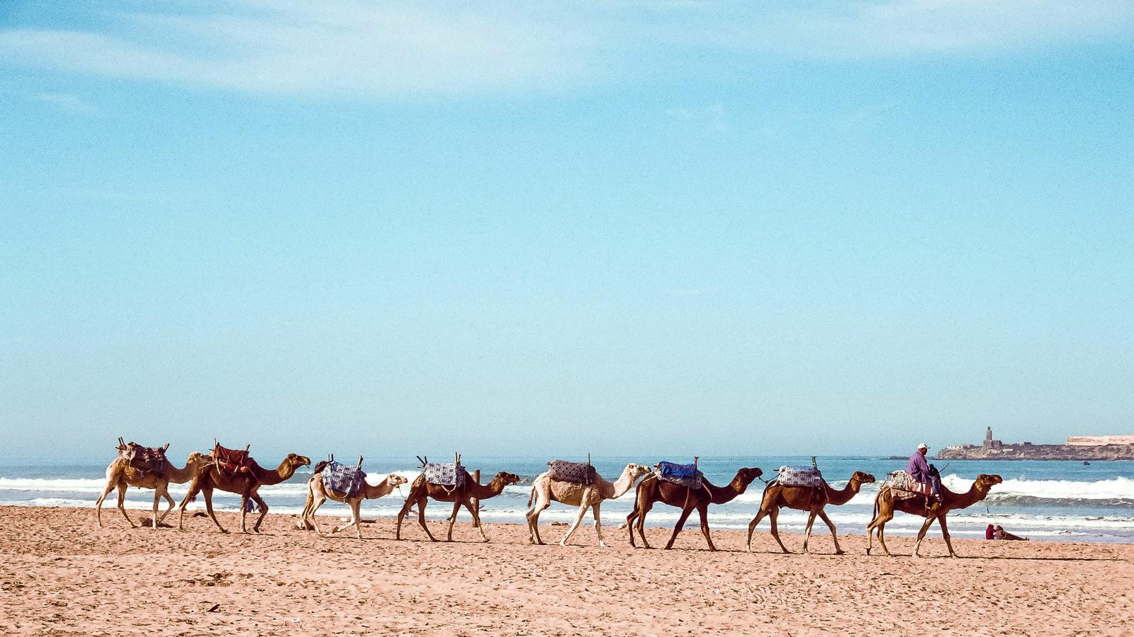 10 Must-See Morocco Beaches | G Adventures