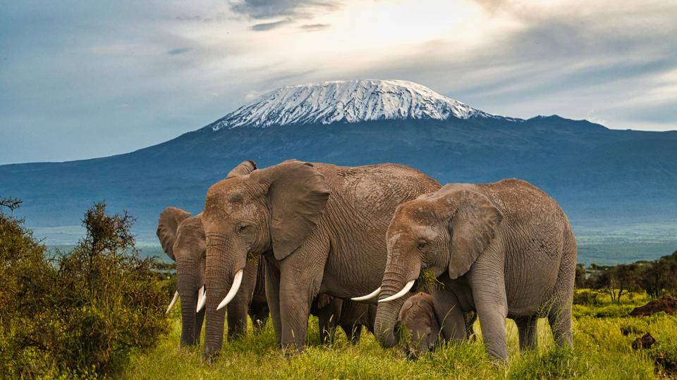 Best Time to Visit Kenya: The Year at a Glance | G Adventures