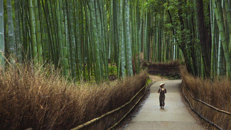 Solo-ish Japan in Japan, Asia | G Adventures