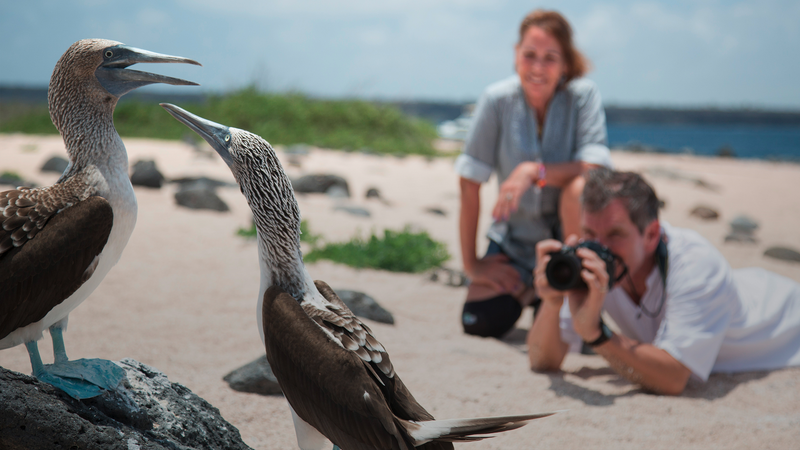 The Galápagos: Wildlife of Santa Cruz & Isabela Islands in Ecuador, South America | G Adventures