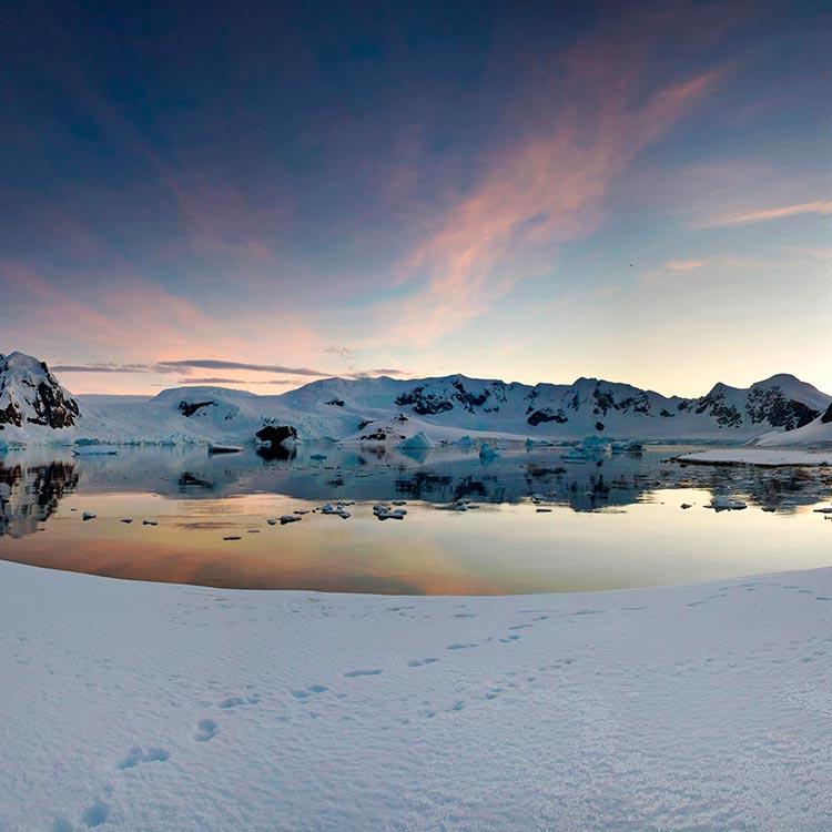 Antarctica Cruises & Tours in 2025 | G Adventures