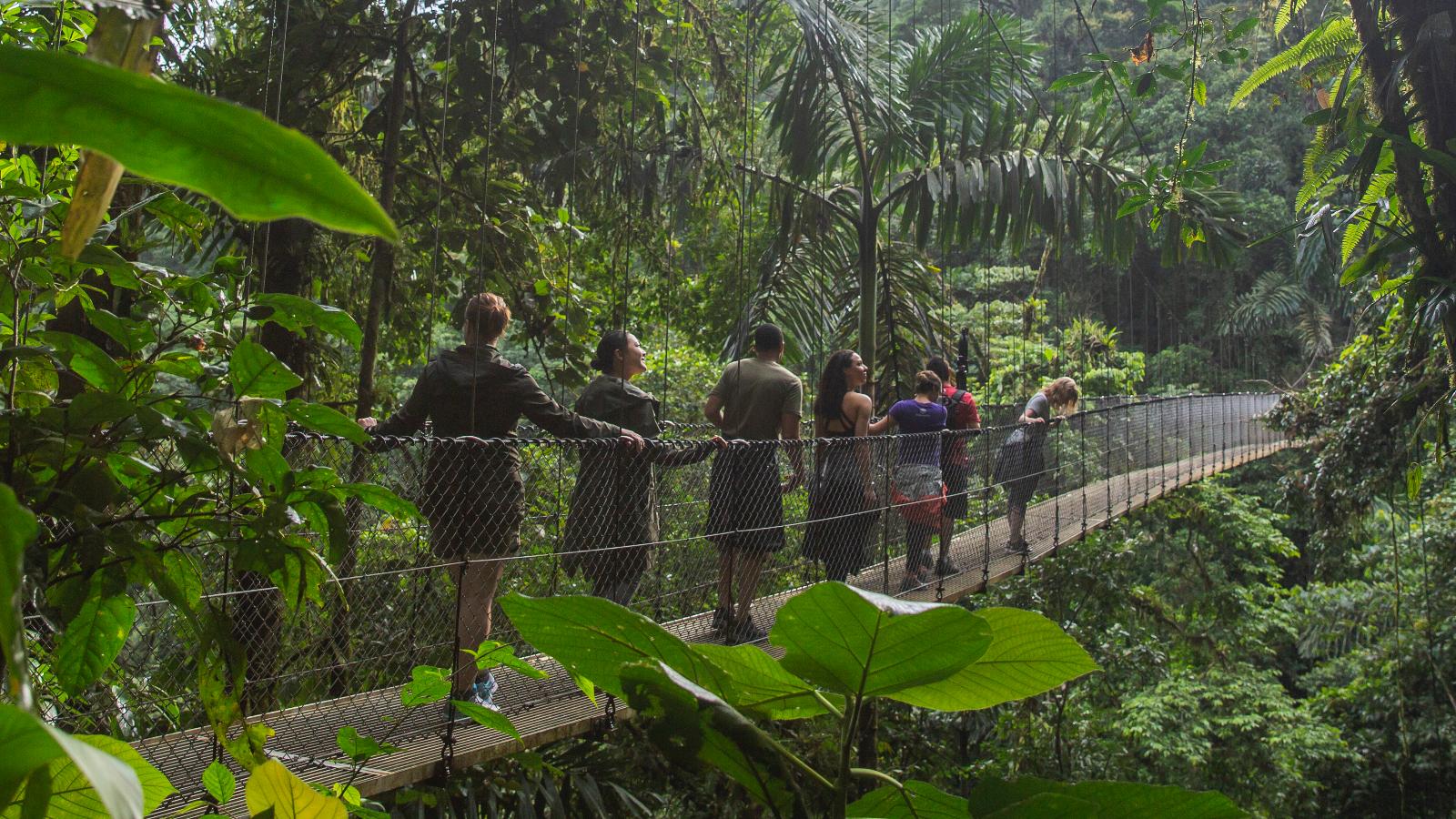 Costa Rica Bird Spotting Tour Guide - G Adventures