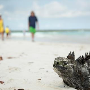 6 Things You Might Not Know About the Galápagos Islands - G Adventures ...