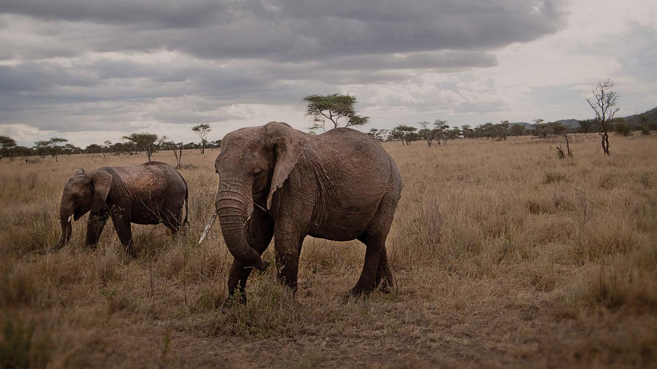 Instagram’s Best Animal Moments | G Adventures