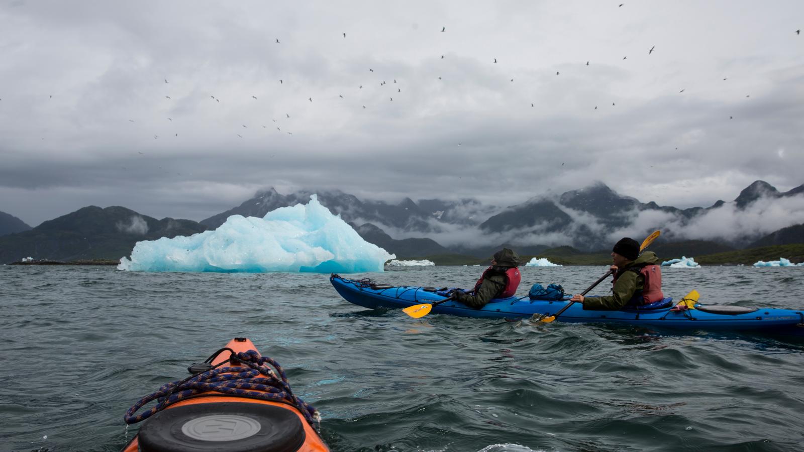 Alaska Tours & Small Group Trips in 2026 | G Adventures
