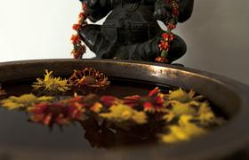 How to make Seswaa, Botswana's official national dish - G Adventures