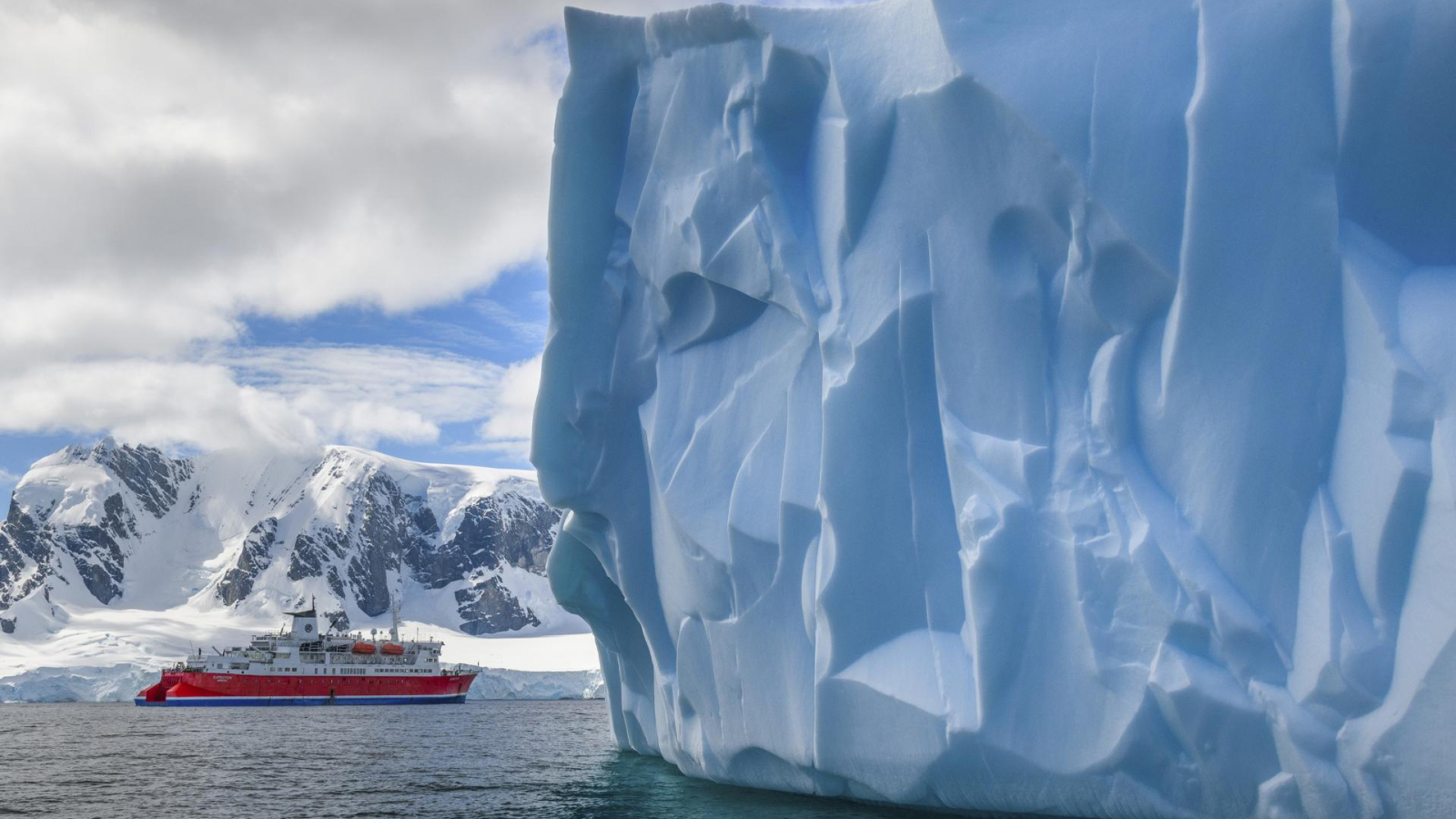 Antarctica Entry Requirements & Protocols in 2025 | G Adventures