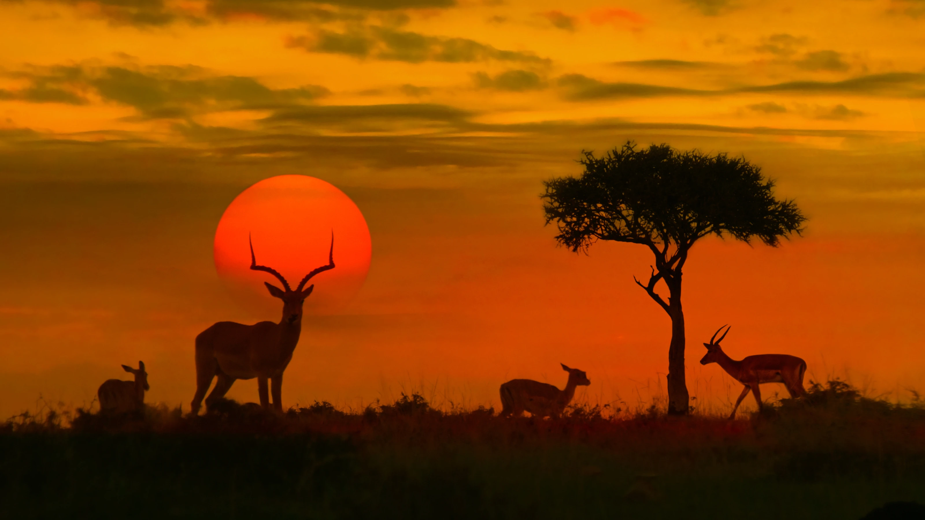 Is Kenya Safe? A Traveller’s Guide & Tips for Travel | G Adventures