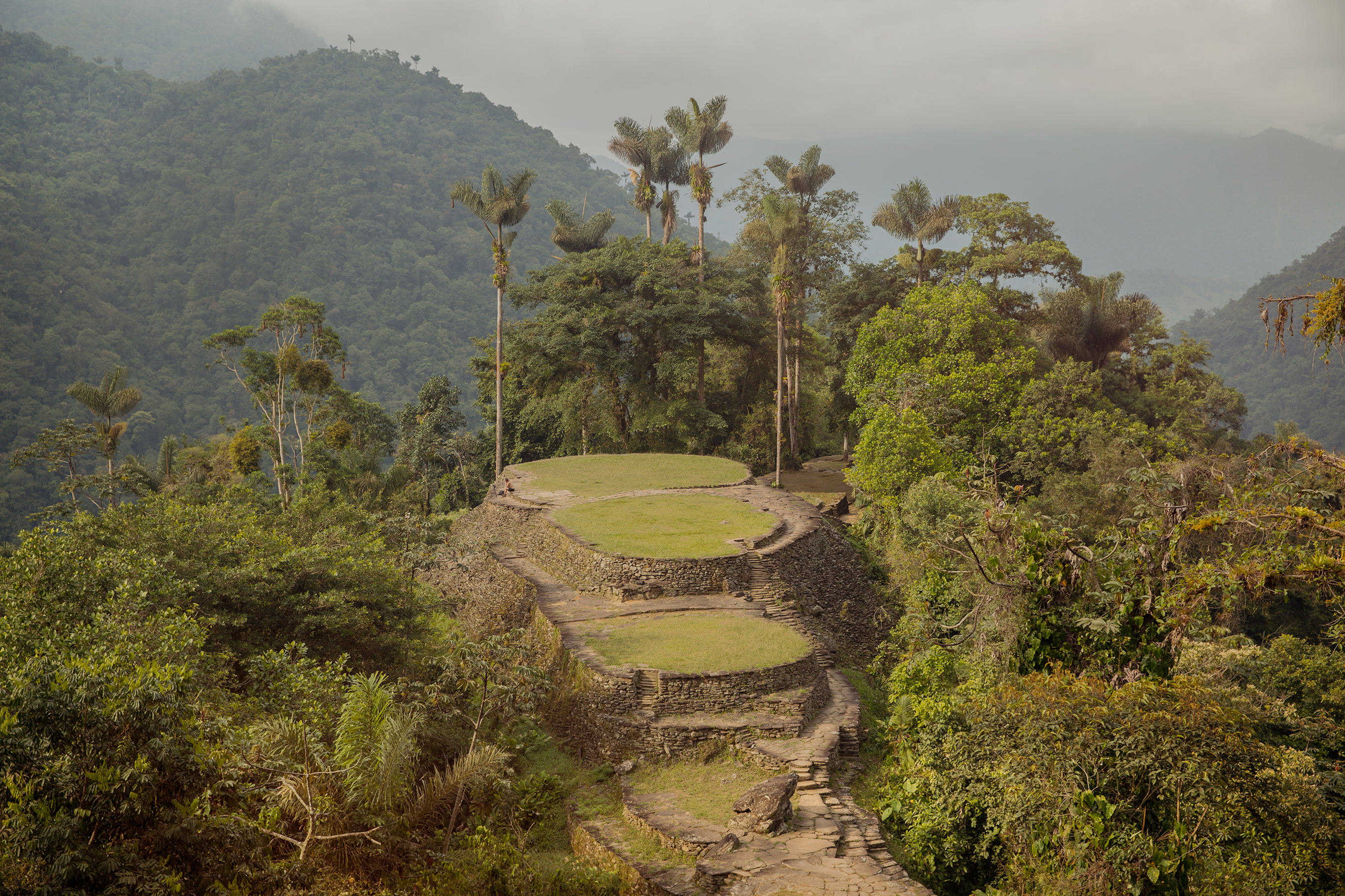 Finding Colombia’s Lost City: Magic Awaits | G Adventures