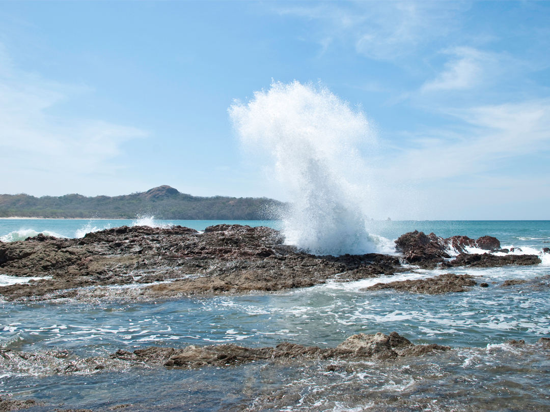 06 jan 2027 from $ 11499 03 feb 2027 from $ 11499 03 mar 2027 from ...