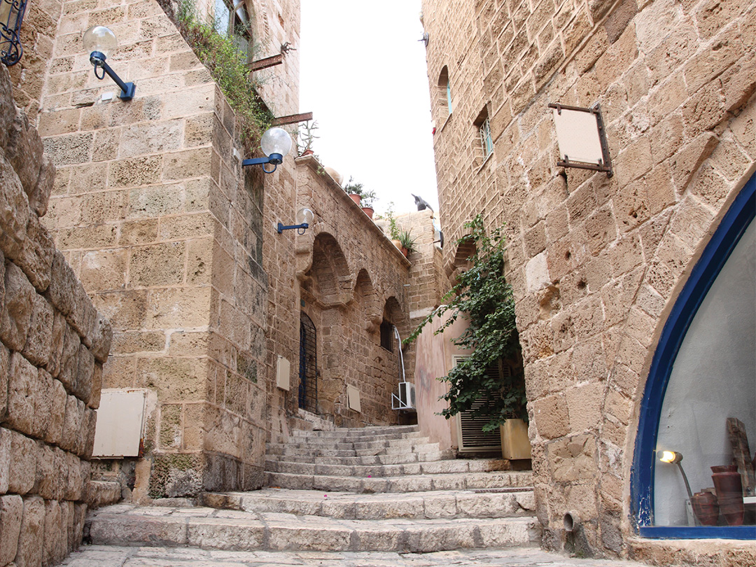 19 oct 2022 from £ 1999 21 oct 2022 from £ 1999 24 oct 2022 from £ 1599 ...