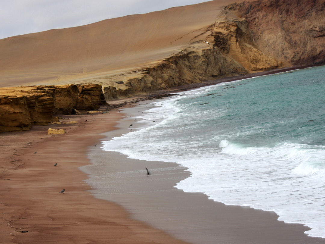 Tour | Paracas & Nazca Lines Independent Adventure | G Adventures | 22930