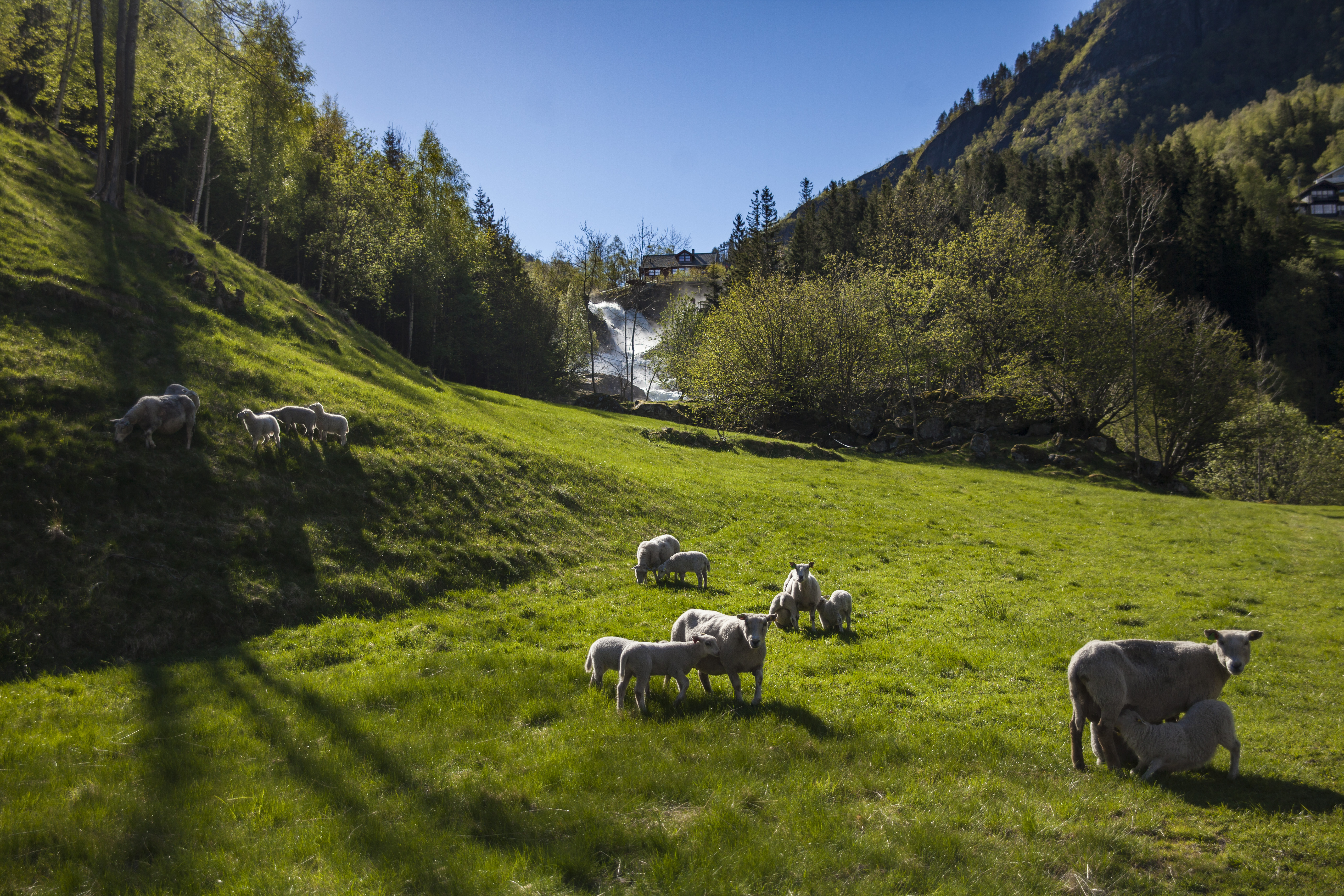 Tour | Norwegian Fjords and Realm of the Polar Bear | G Adventures | 25432