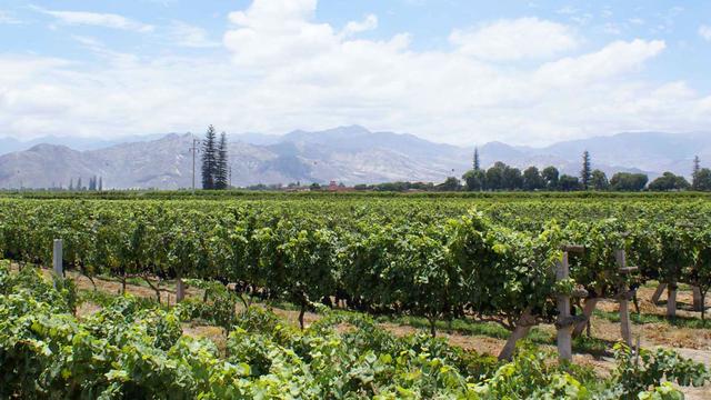 Experience the Mystique of Peru with Wanderlust Getaway